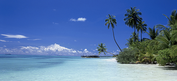 Detta får du inte missa på Maldiverna | Nyheter | Destination.se